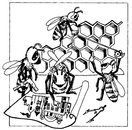 Beemasters 2005: Conference Overview