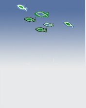 Discovery by Free Css Templates