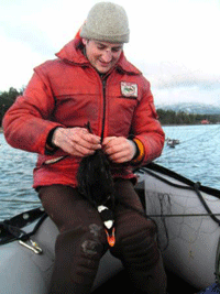 CWE Sea Duck Researchers