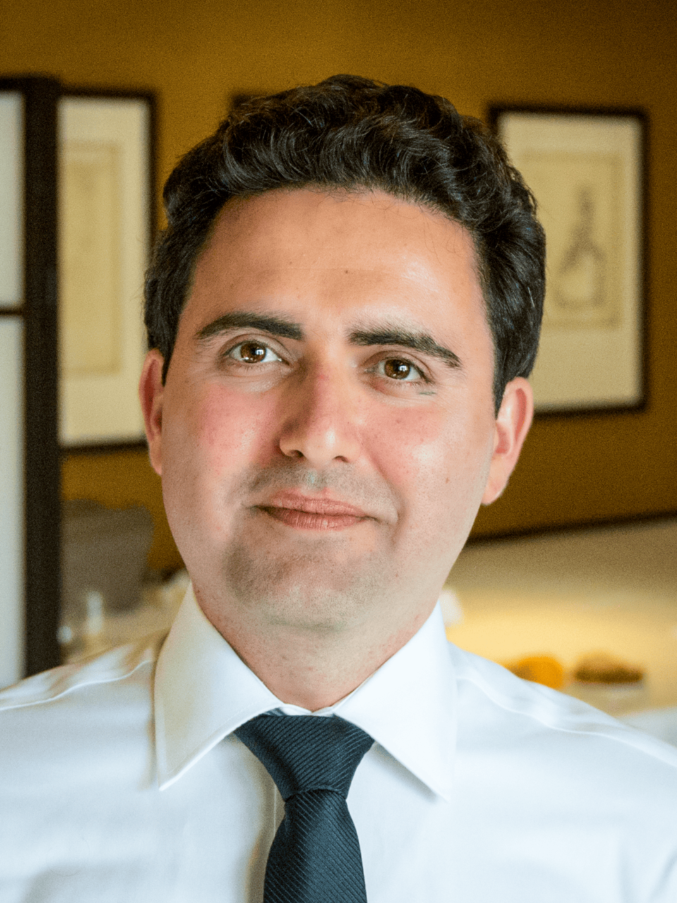 Mohammad Tayebi - School of Computing Science - Simon Fraser University