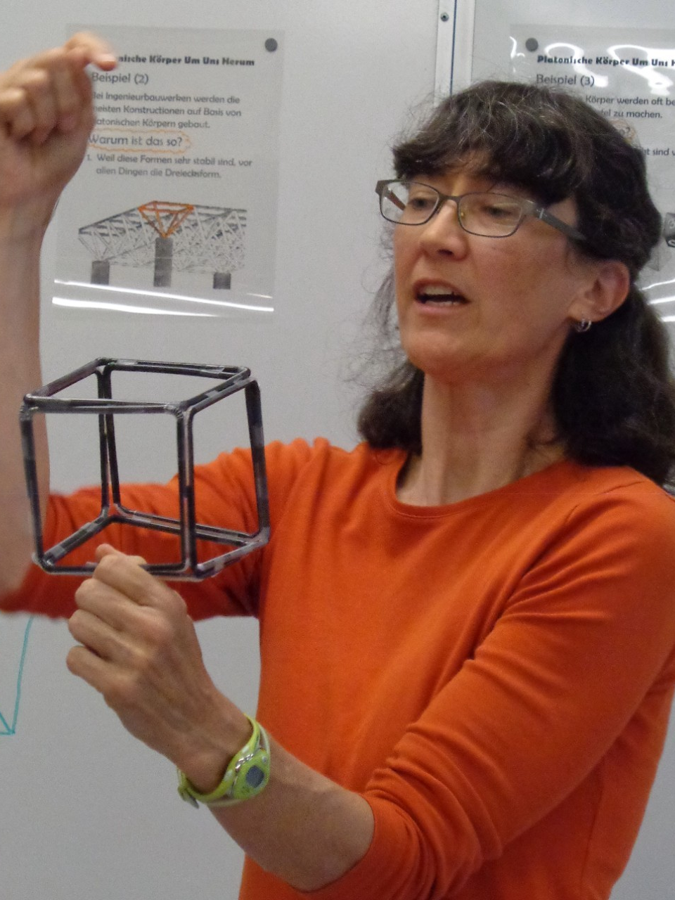 Petra Menz - Department of Mathematics - Simon Fraser University