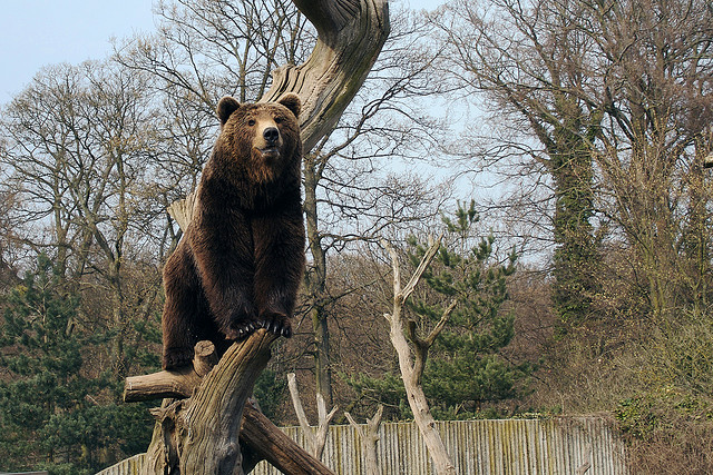 355 Project: Project Design