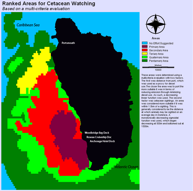 Cetacean Watching off the leeward coast of Dominica: Intro. 1
