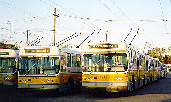 Boston Flyer electric trolleybus Photos (1)