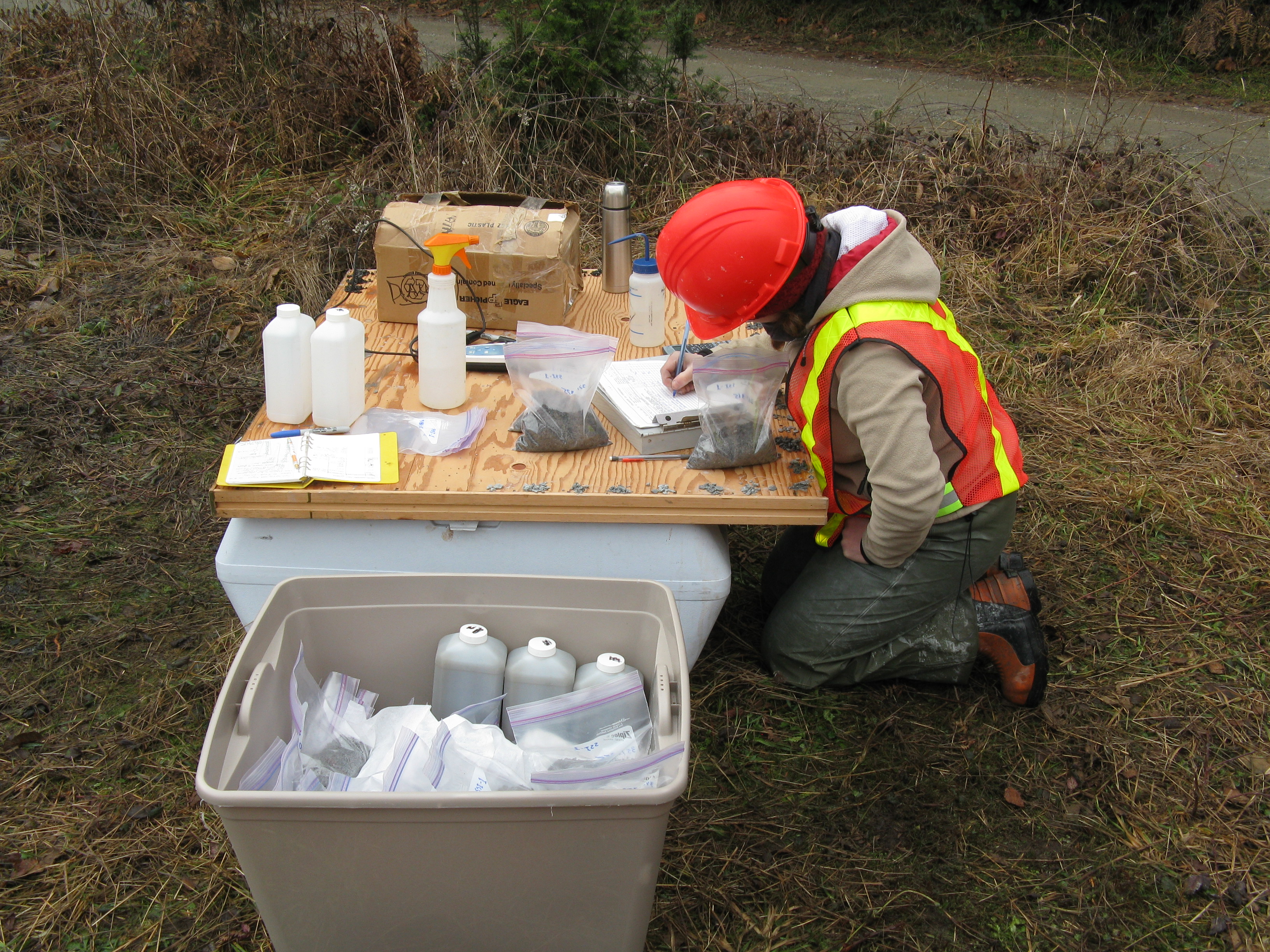 Dr. Diana Allen - Vulnerability Mapping