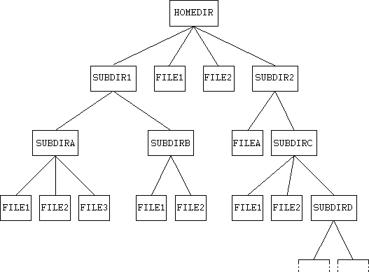 Introduction to the OpenVMS Operating Environment : OpenVMS File System