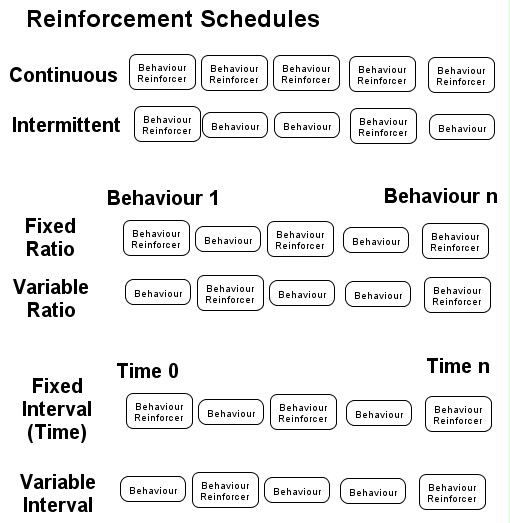 Behavioral Views of Learning